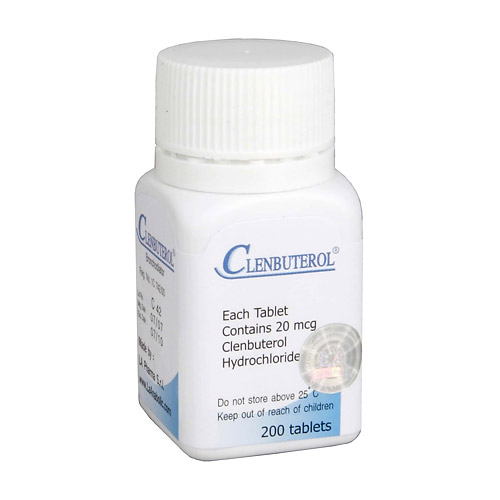 Clen Review 2025 - Rip-Off or Worth To Try? Here is Why..